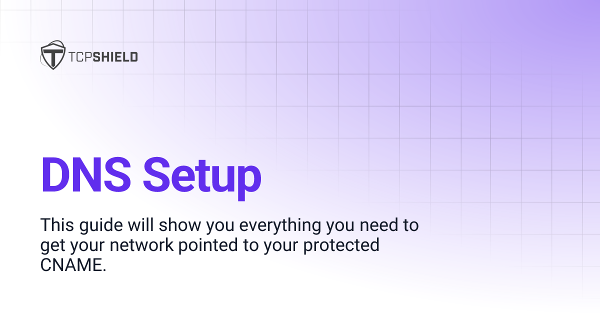 DNS Setup | TCPShield